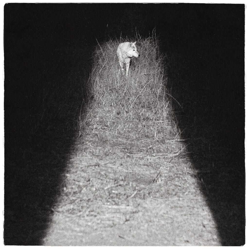 Zacari Releases Debut Album 'Bliss'